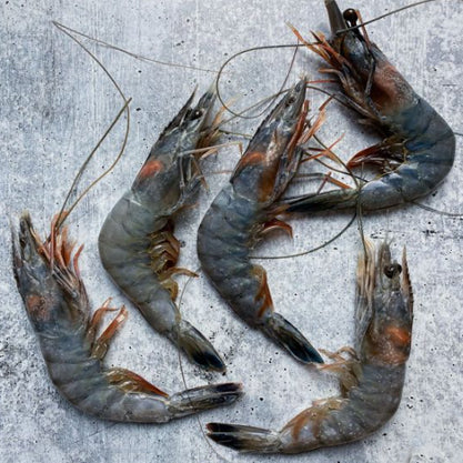 Cristal Blue Paradise Prawn Sashimi Grade 26/30 (1kg) - Frozen – Moby's ...